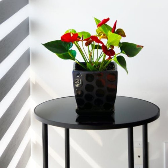 Lelia's Closet (@lelia_i) | Poshmark